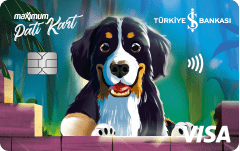 Maximum Pati Kart | Maximum